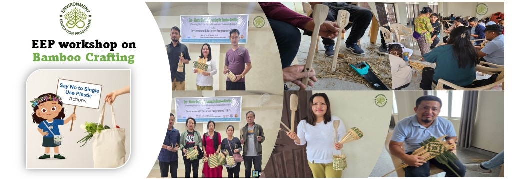 Environment Education Programme